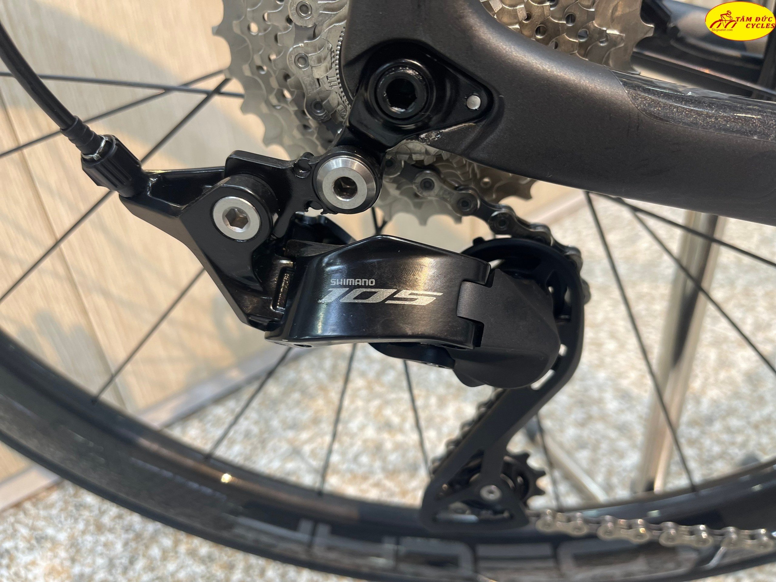 Java Fuoco 2024 plus